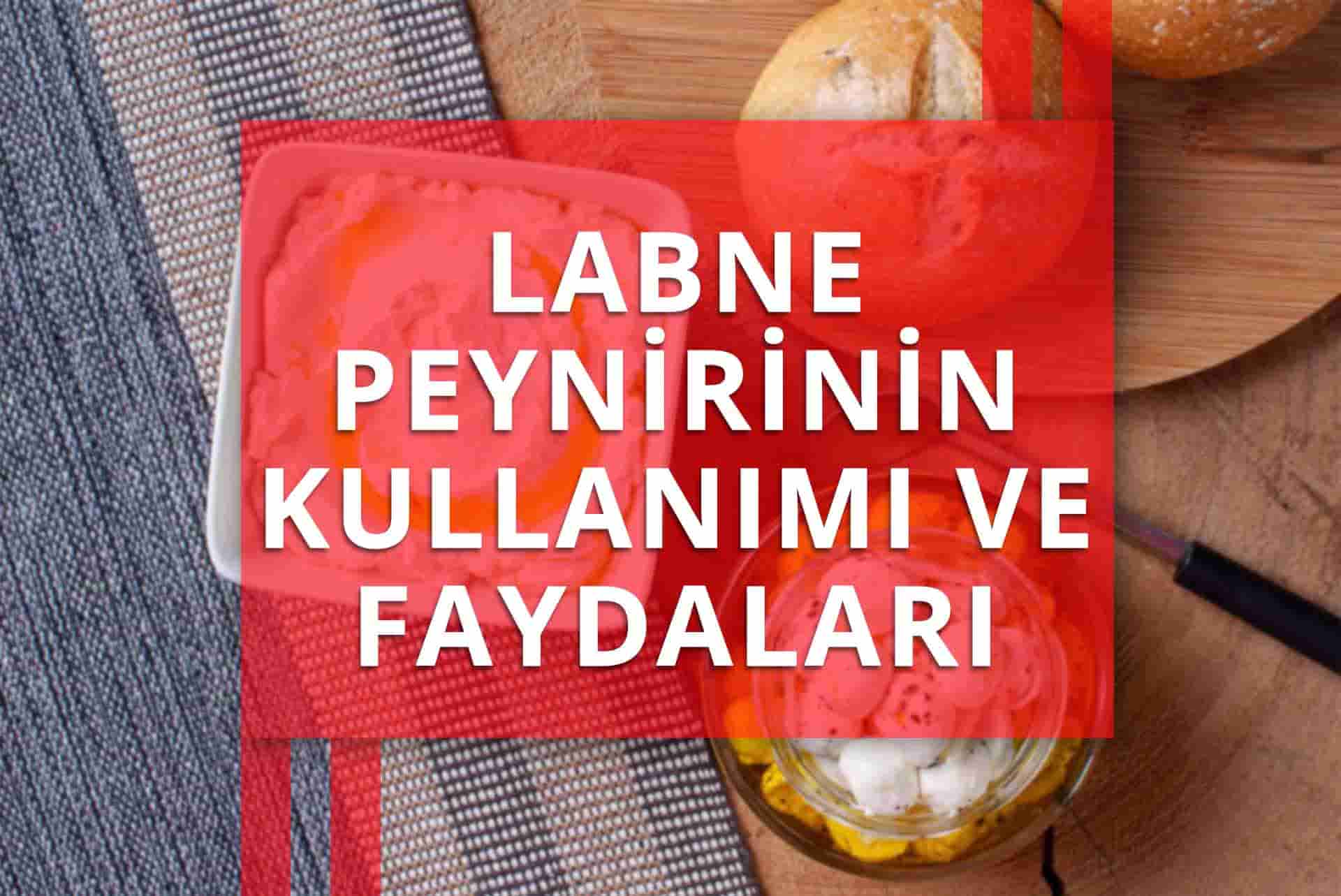 Labne Peynirinin Kullanımı Ve Faydaları - Altun Blog